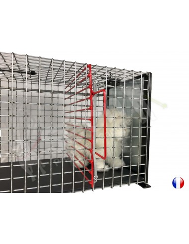 peigne metallique pour piège trappe à chats seon